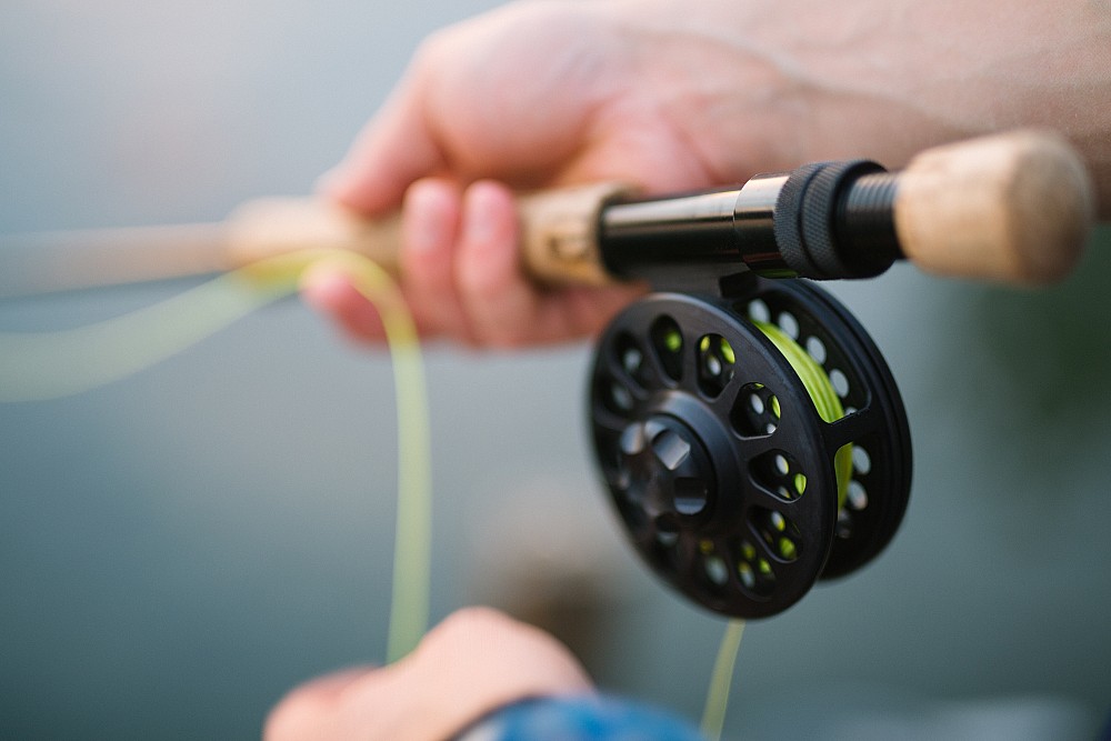 Insights from the ocean explorer's fishing report