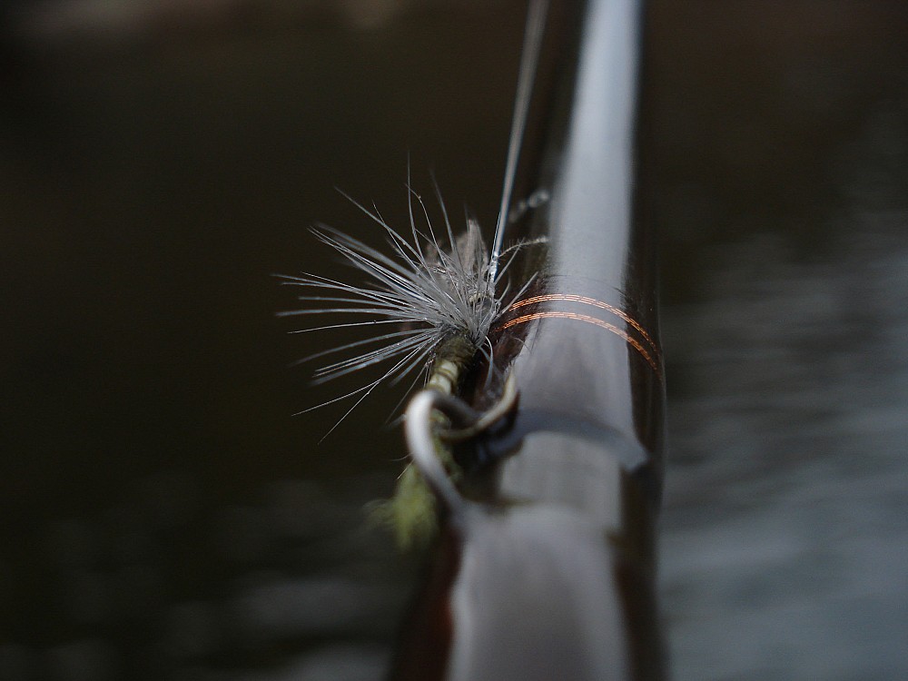 Best techniques for setting up a catfish rig