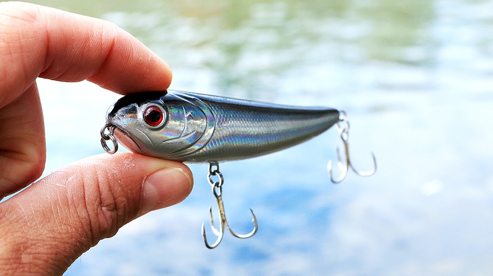 Understanding the Differences: Fly Fishing vs. Regular Fishing