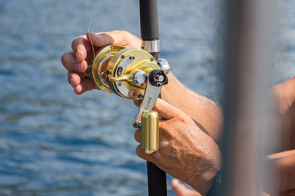 World record perch: the ultimate guide to the biggest catches