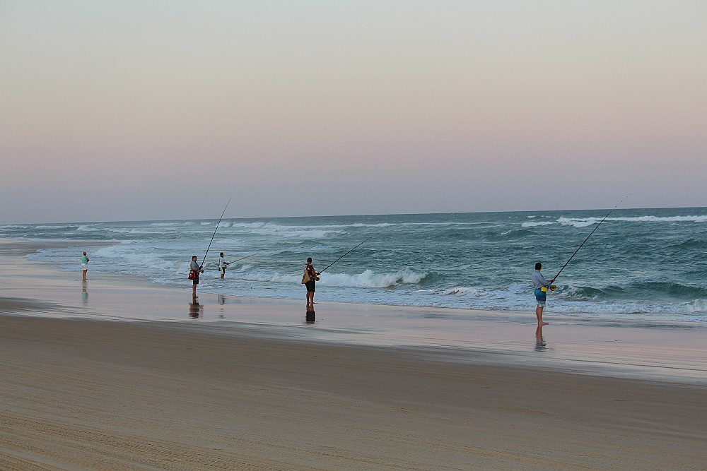 Exploring the Vibrant World of Fishing Lines